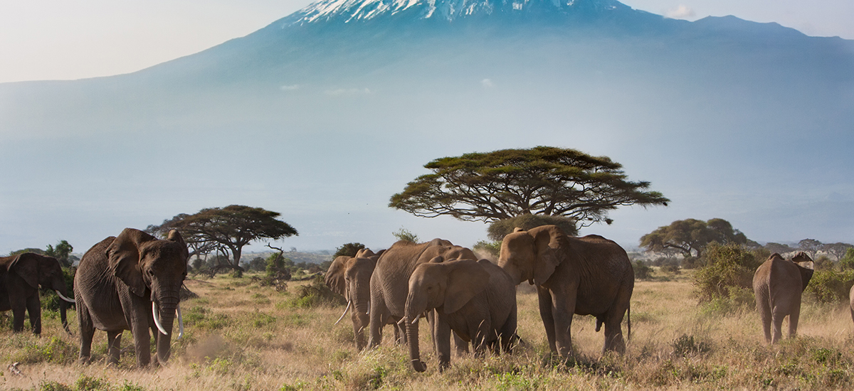 ลุยทุ่งหญ้าสะวันนา ตื่นตาเหล่าสัตว์ ทุกพิกัดต้องไปเยือน